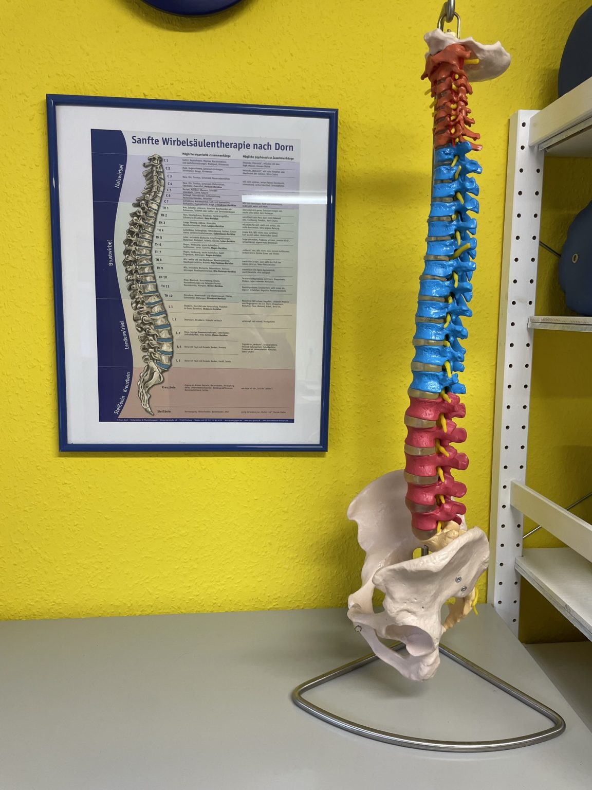 Dorn und Breuß – Naturheilkunde Susanne Vetter, Berghaupten